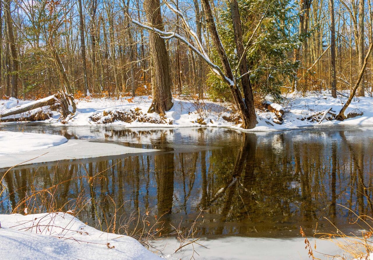 Scantic Spring Splash to kick off the season - The Reminder