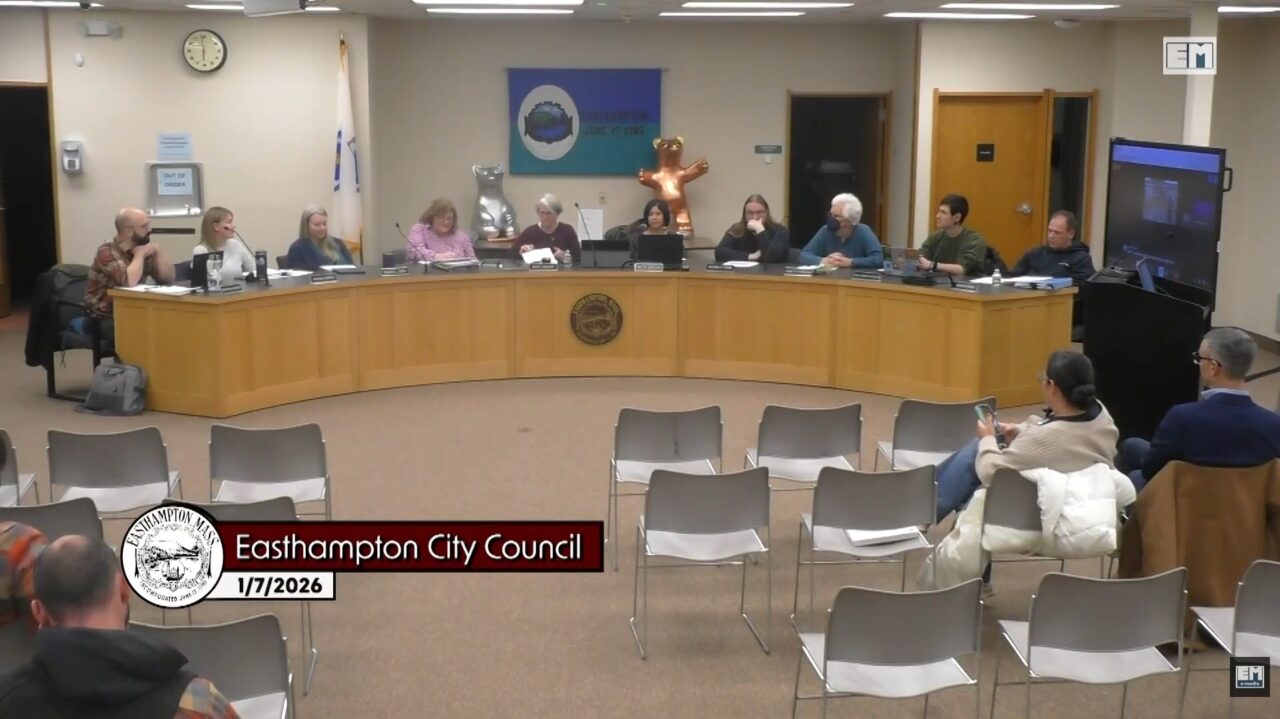 City Council rings in new year with new members - The Reminder